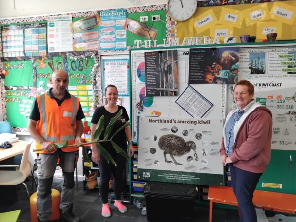 Kaitiaki in the Making: Umawera School Learns How to Identify Pests ...